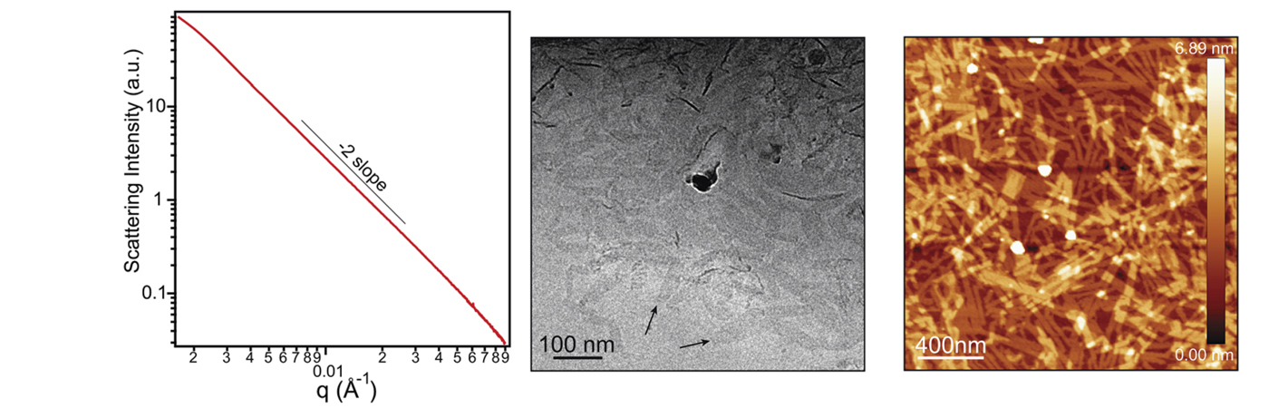 The Advanced Photon Source (APS)